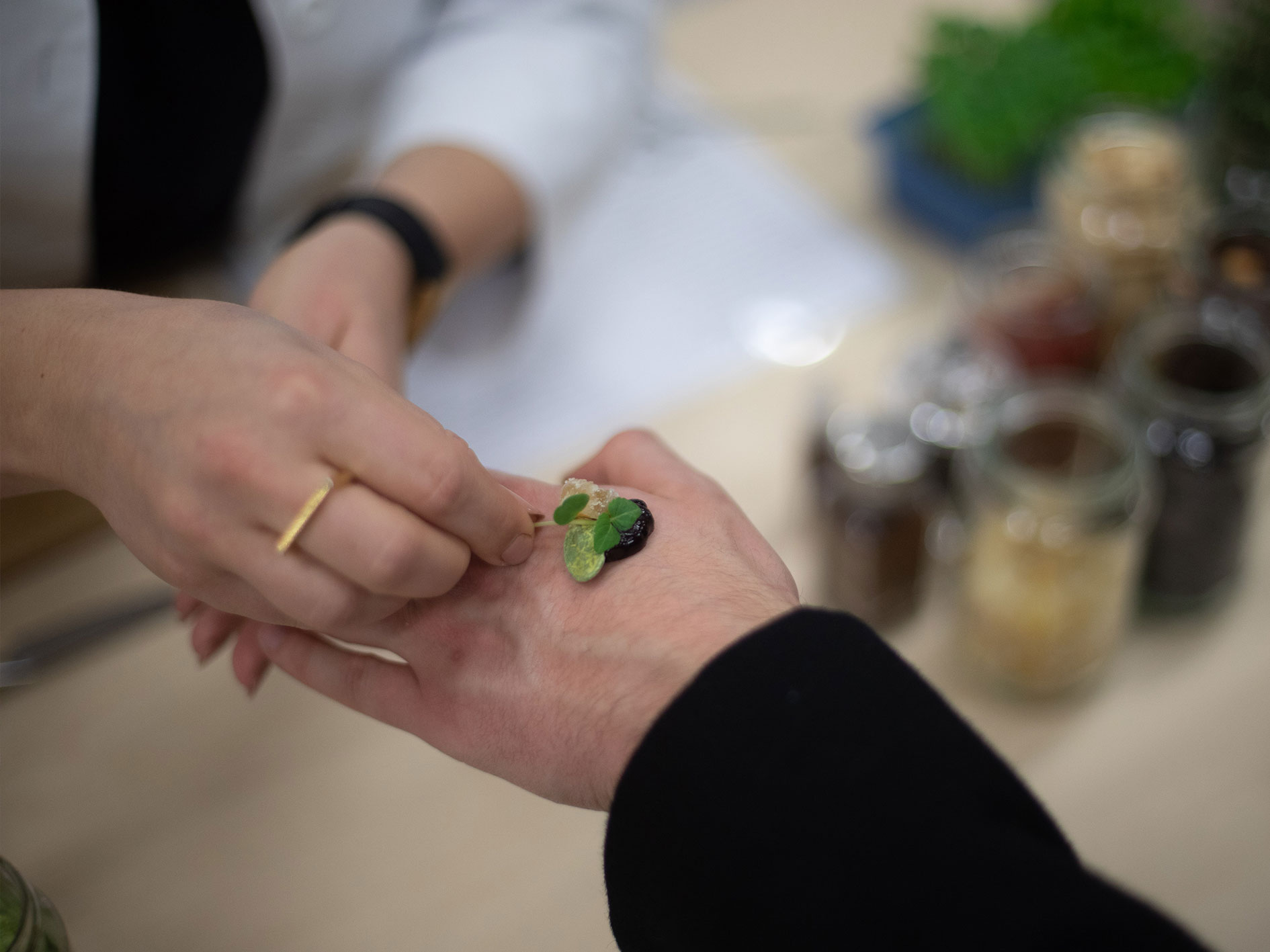 Collectible ⎟ Food Design