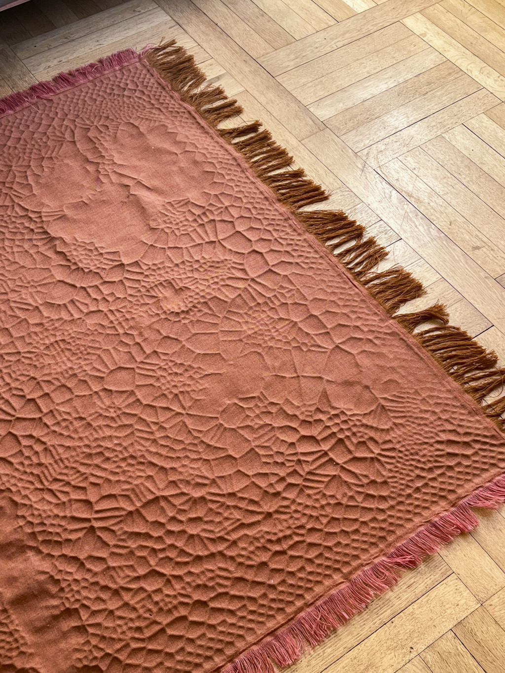 Collectible ⎟ Interview anima ona x Studio Eidola