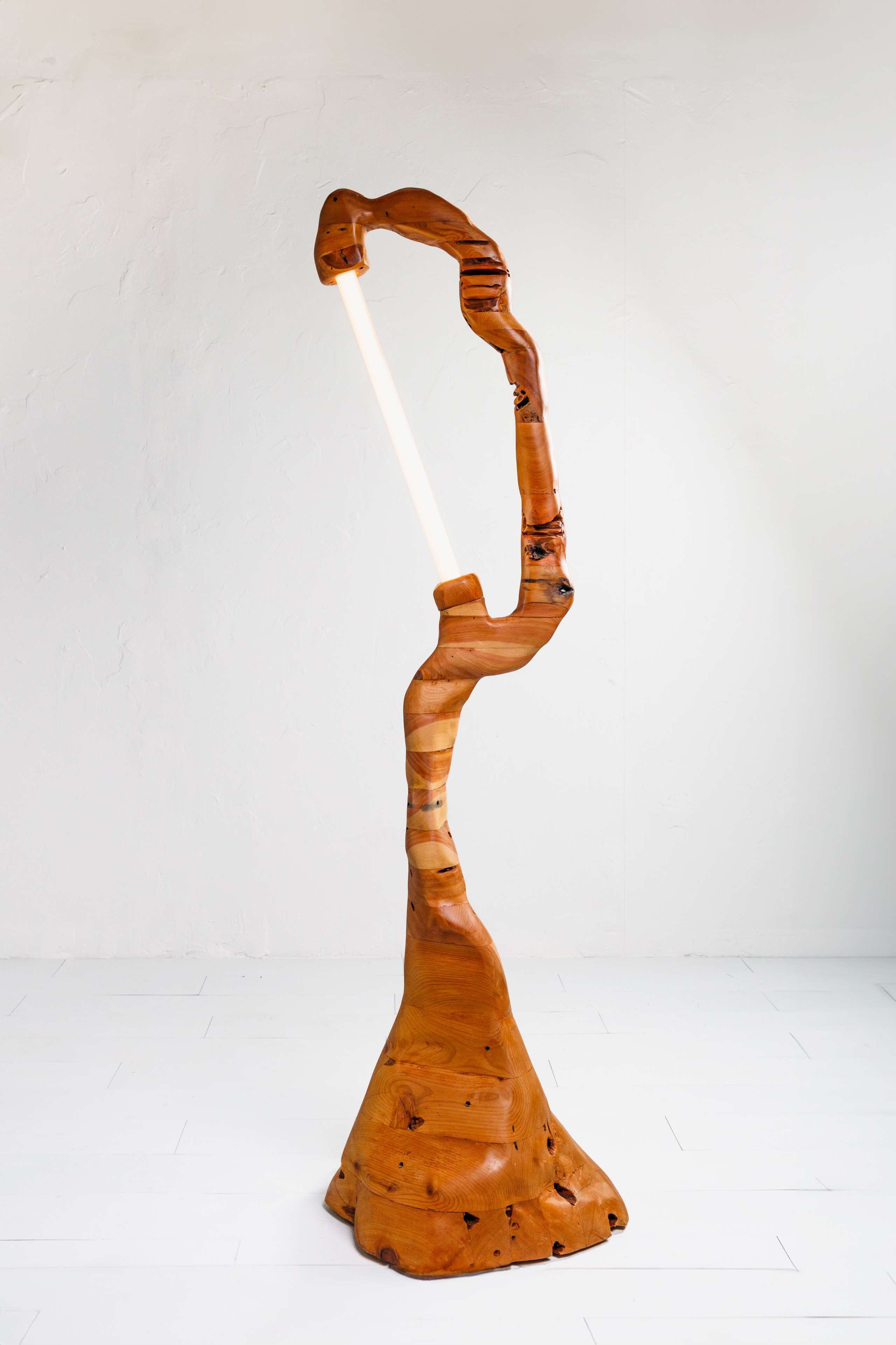 Collectible ⎟ COLLECTIBLE In-Depth CoCo Ree Lemery