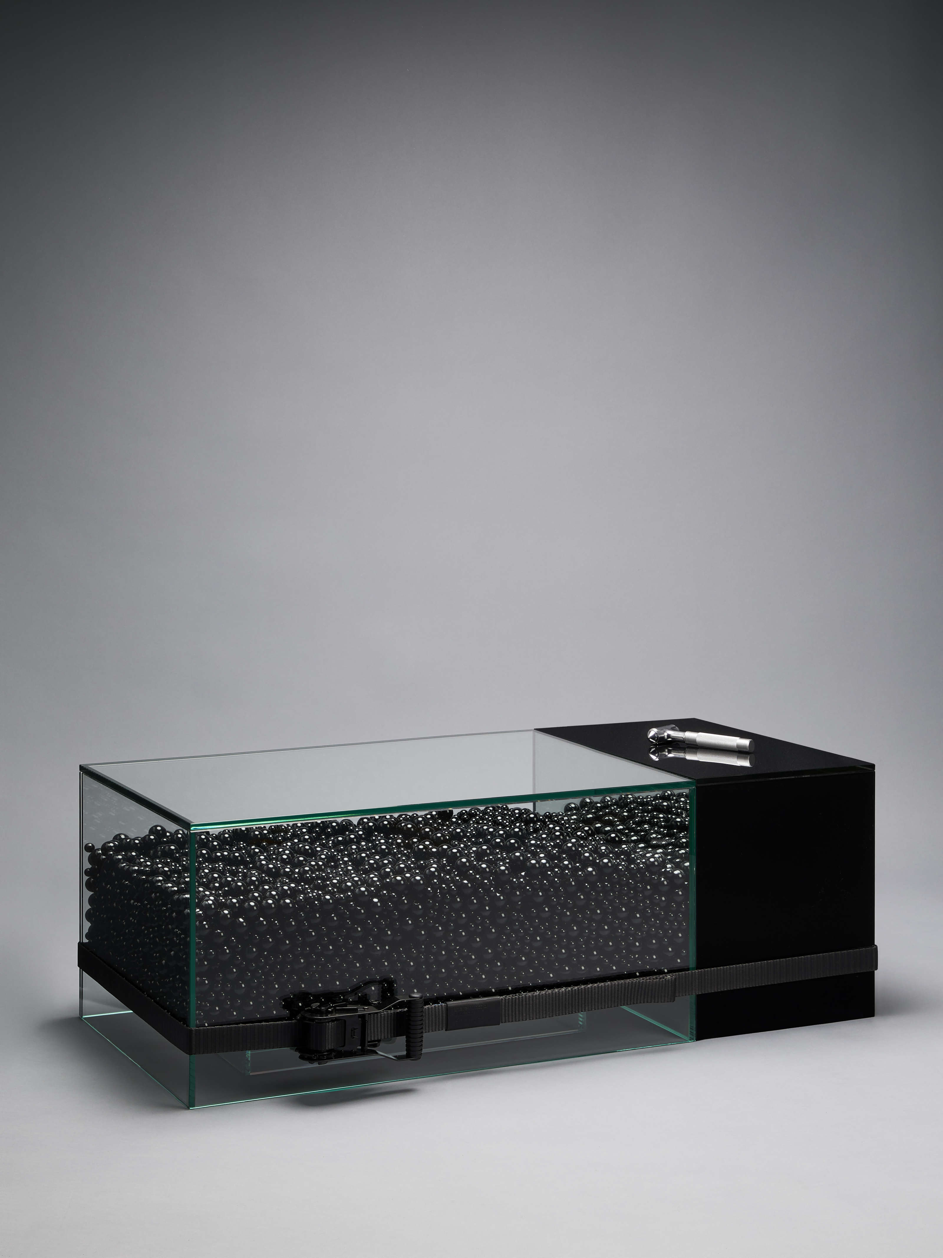 Collectible ⎟ COLLECTIBLE In-Depth VENERE