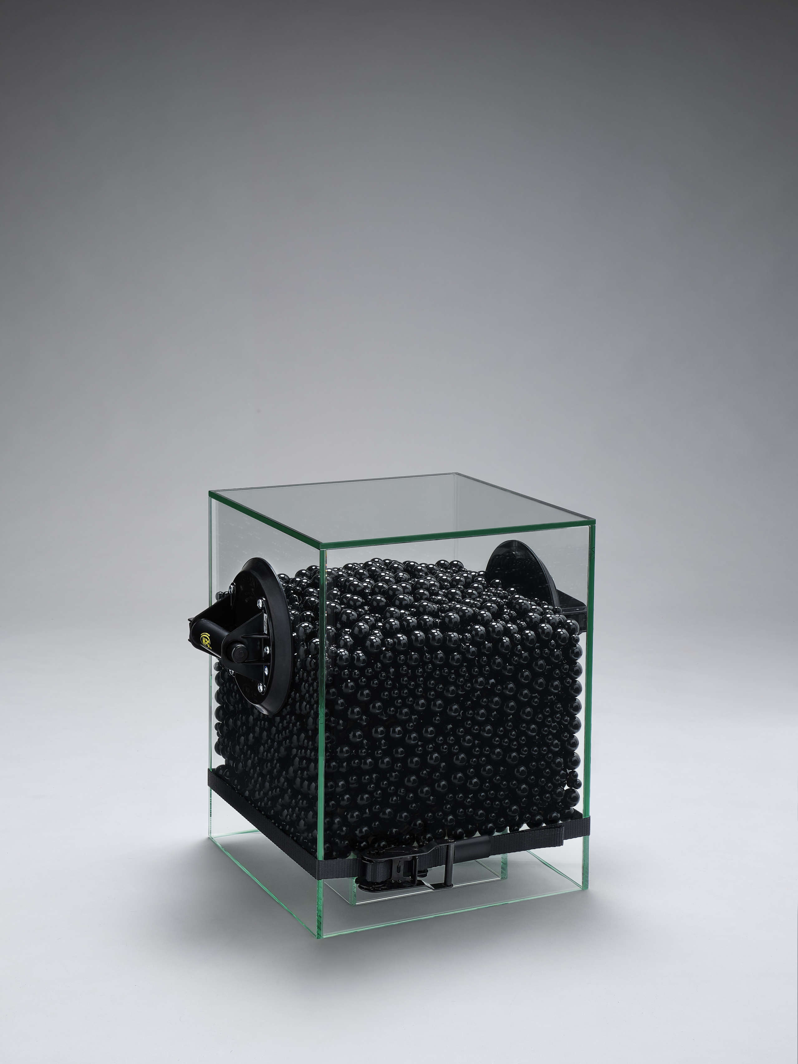 Collectible ⎟ COLLECTIBLE In-Depth VENERE