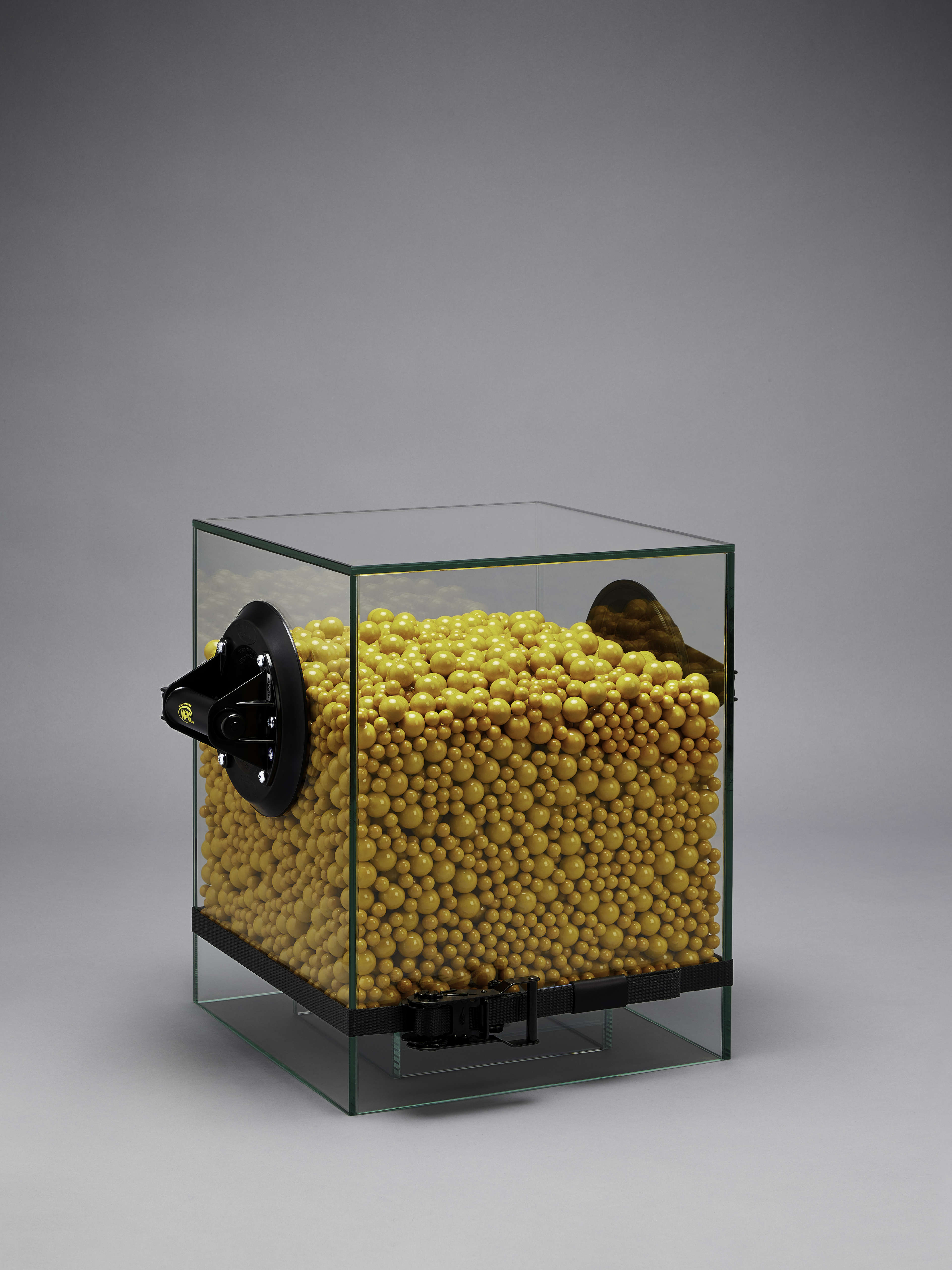 Collectible ⎟ COLLECTIBLE In-Depth VENERE