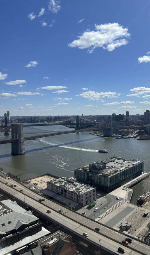 Collectible ⎟ Overview NY