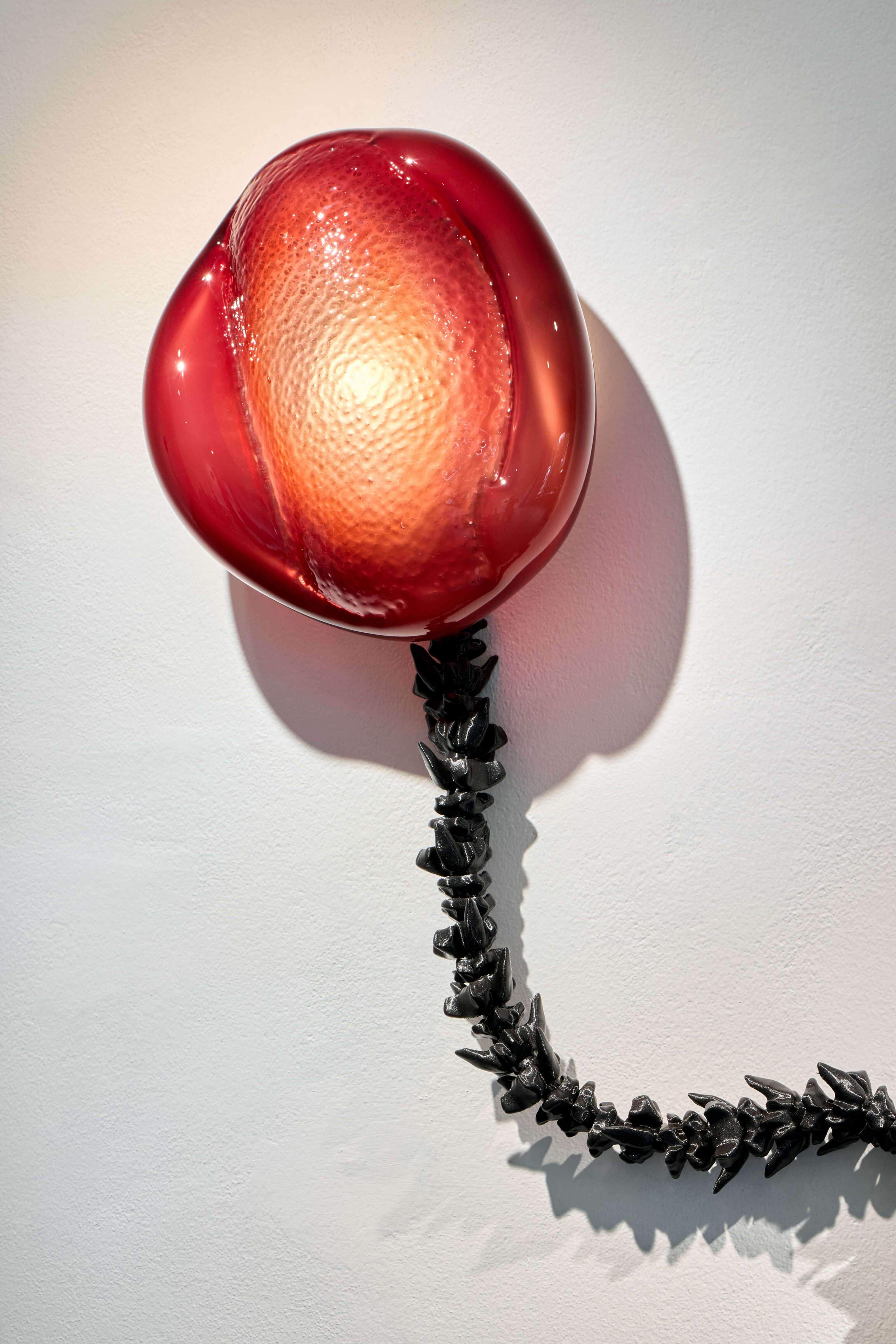 Collectible ⎟ COLLECTIBLE In-Depth Anna Jožová